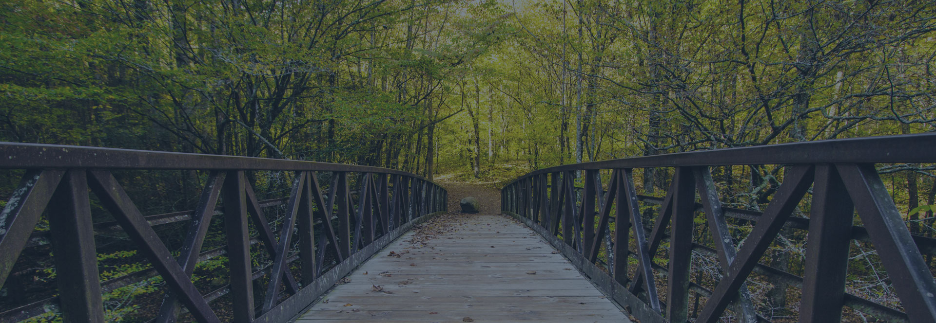 Ottawa Family Law Mediation Services | Bruce Stedman